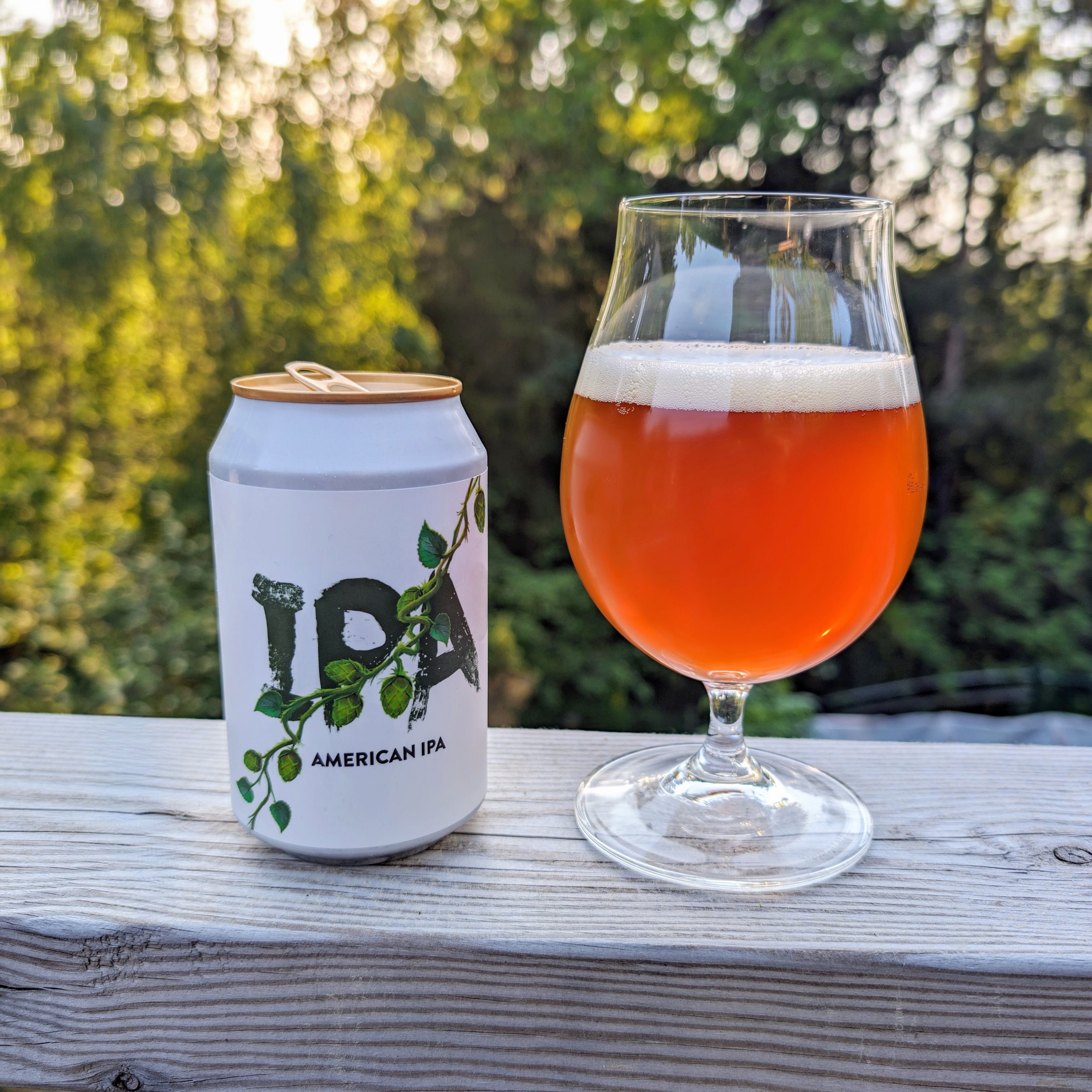 IPA - Benchwarmers Brewing Co